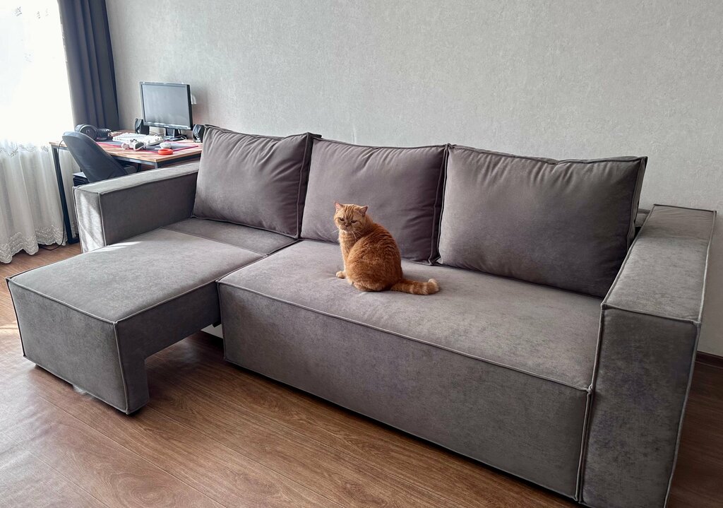 Koltuk takımı mağazaları Статус-М, Omsk, foto