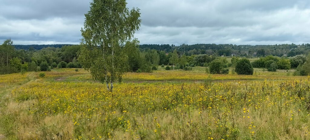 Otomobil pisti Автодром, Smolenskaya oblastı, foto