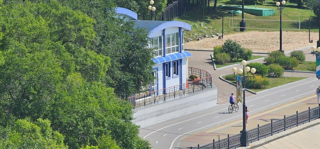 Dondurmacılar 33 пингвина, Habarovsk, foto