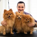 Leo Grooming (ulitsa Nikitina No:11к8), evcil hayvan kuaförleri  Moskovski'den