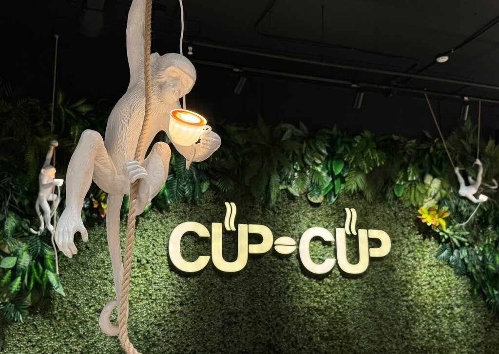 Kahve dükkanları Cup-Cup, Samara, foto