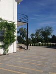 Belaya Iva (Shmidta Street No:38), otel  Yeysk'ten