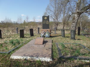 Братская могила (Tver Region, Nelidovskiy munitsipalny okrug, derevnya Novonikolskoye), anıt, heykel  Tverskaya oblastından