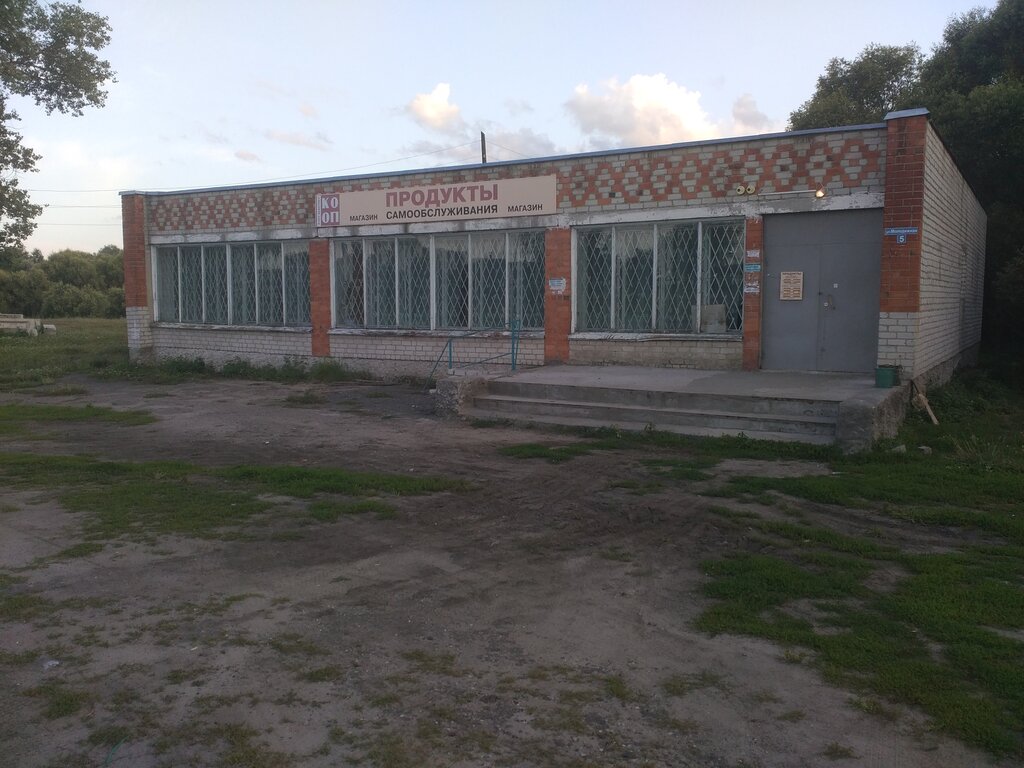 Market Продукты, Brianskaya oblastı, foto