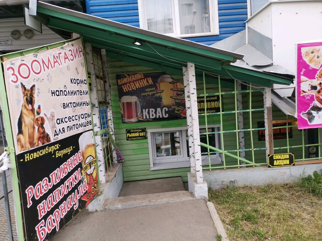 Petshop Рыжий кот, İrkutskaya oblastı, foto