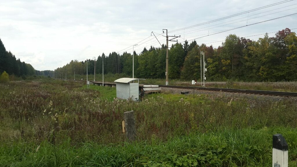 Tren istasyonu остановочный пункт Магистраль, Kostromskaya oblastı, foto