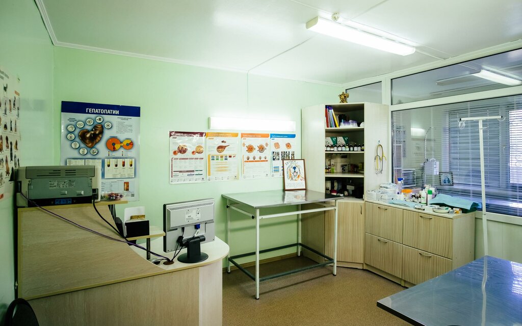 Veteriner klinikleri Veterinary clinic Druzhok, Temirtav, foto