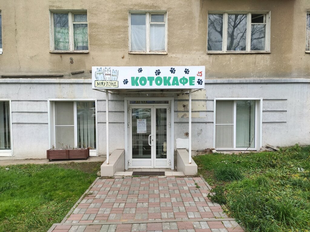 Antikafe Котокафе, Izhevsk, foto