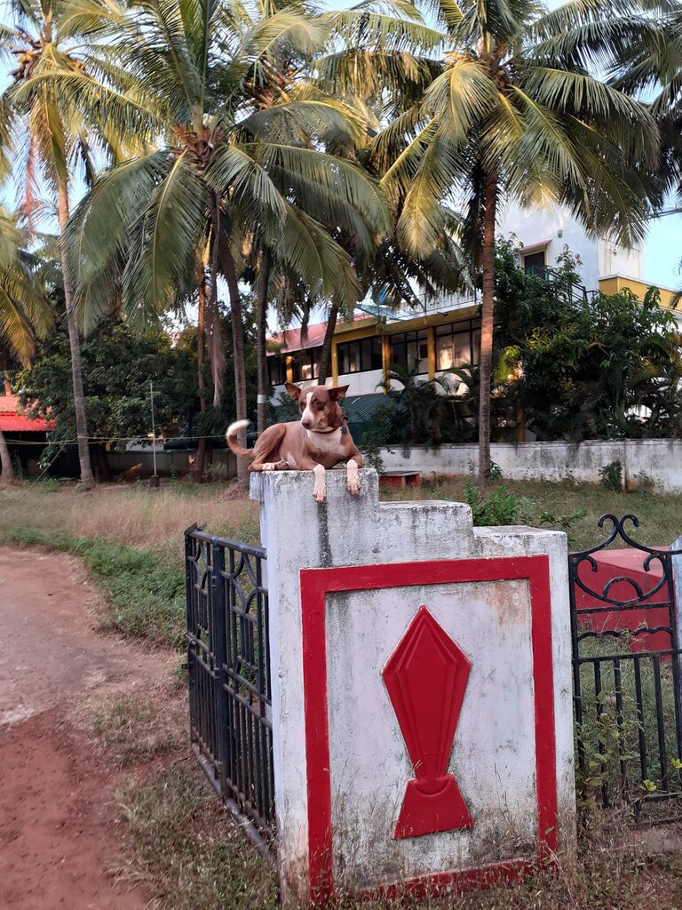 Otel Hill View Rooms, Apts, Holiday Homes, in Anjuna, Goa, Goa, foto