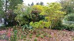 K. Urech Gartenbau GmbH (Aargau, Lenzburg, Strangengasse, 15), peyzaj tasarımı  Aargau'dan