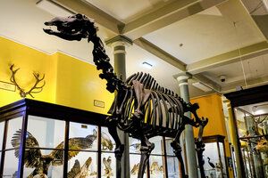 İrlanda Ulusal Müzesi (Dublin), müzeler ve sanat galerileri  Dublin'den