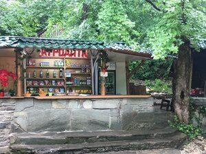 Afrodita (Krasnodar Territory, Municipal Formation of Gelendzhik, Vozrozhdeniye Village), kafe  Krasnodarski krayından