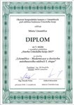 Ing. Jiří Koudelka, Ik Konzult, Projektování pozemních komunikací (Ústecký kraj, Usti nad Labem, Drážďanská), i̇nşaat firmaları  Usti nad Labem'den