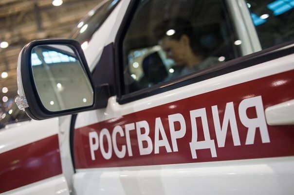 Ruhsat hizmetleri Podrazdeleniye litsenzionno-razreshitelnoy raboty Proletarskogo rayona, Tula, foto