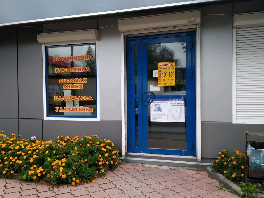 Ev temizlik ürünleri Калина, Kaliningrad, foto