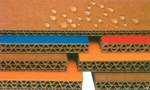 Paketleme malzemeleri firmaları Tpk Masterpak, Moskova, foto