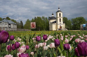 Skete of the Danilov Monastery Vtsaritsa (Moscow Region, Ruzskiy Municipal District, derevnya Novovolkovo), ortodoks kiliseleri  Moskova ve Moskovskaya oblastından