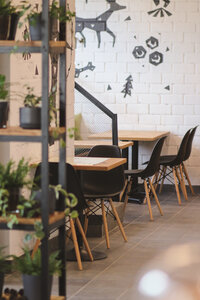 Taiga (Krasnoarmeyskaya street No:18), kafe  Irkutsk'tan