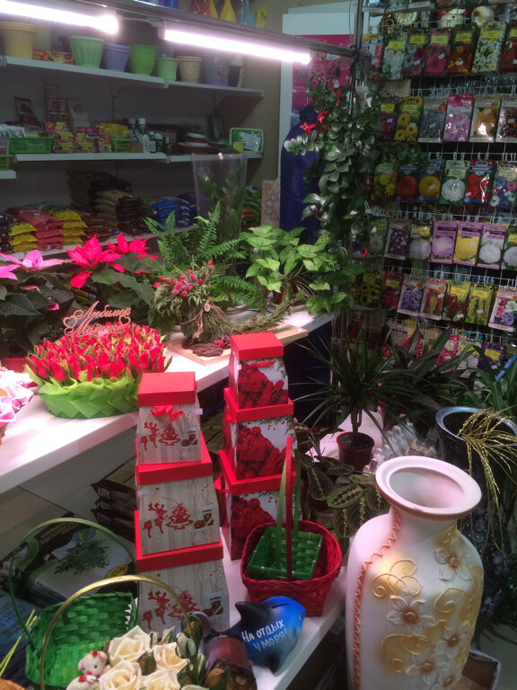 Çiçekçiler Цветы и подарки, Moskova ve Moskovskaya oblastı, foto