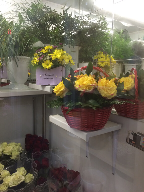 Çiçekçiler Цветы и подарки, Moskova ve Moskovskaya oblastı, foto