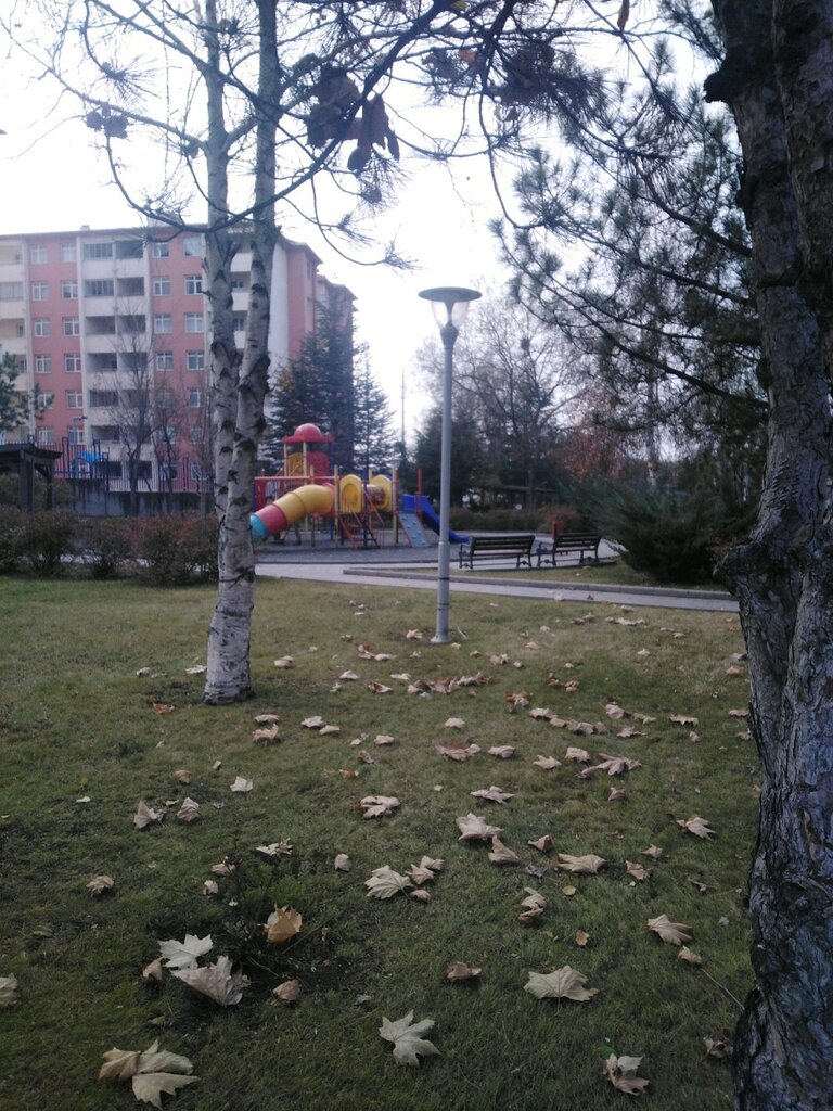 Parklar ve ormanlar Dünya Çocukları Barış Parkı, Ankara, foto