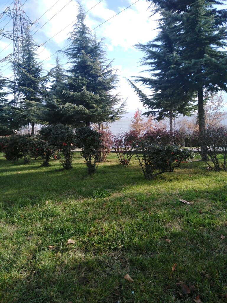 Parklar ve ormanlar Dünya Çocukları Barış Parkı, Ankara, foto