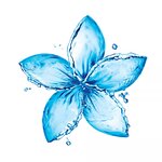 Aqua Life (V.I. Lenina Avenue No:67), akvaryumlar  Volgograd'dan