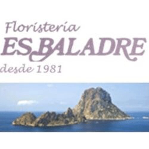 Çiçek teslimatı Floristería Es Baladre, İbiza, foto