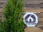 VIP-Bani (Delovaya Street No:20А), hamam ve sauna inşaatı  Nijni Novgorod'dan