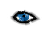 Patrone Dr. Germano Oculista (Liguria, Provincia di Savona, Via Carendetta, 4), optik cihazlar ve ekipmanlar  Ceriale'den