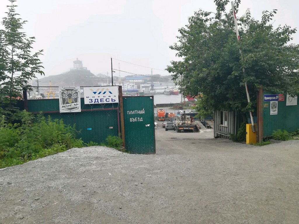 Otomobil yedek parçaları Autodilema, Vladivostok, foto