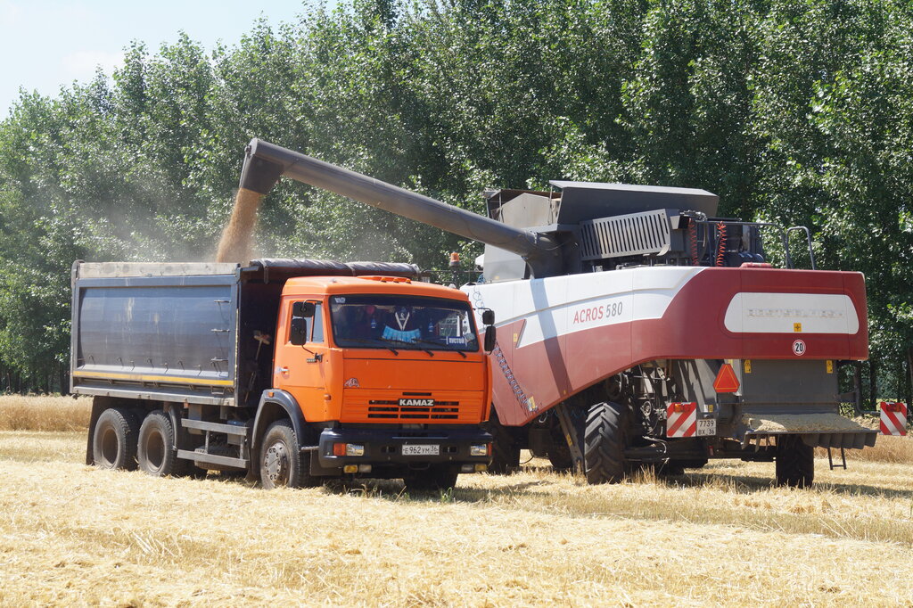 Tarım firmaları Zemlyanskoye, Voronejskaya oblastı, foto