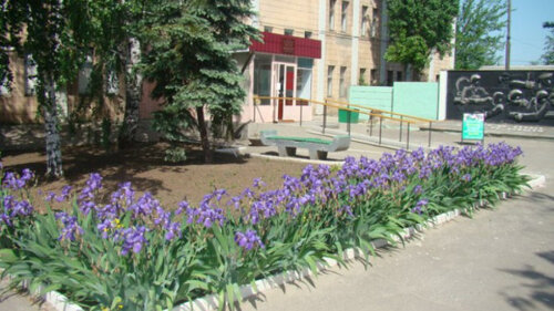 Müzeler ve sanat galerileri Тацинский историко-краеведческий музей, Rostovskaya oblastı, foto