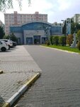 Kapalı Havuz ve Spor Merkezi (İstanbul, Beylikdüzü, Kavaklı Mah., Ayasofya Cad., 2), yüzme havuzları  Beylikdüzü'nden