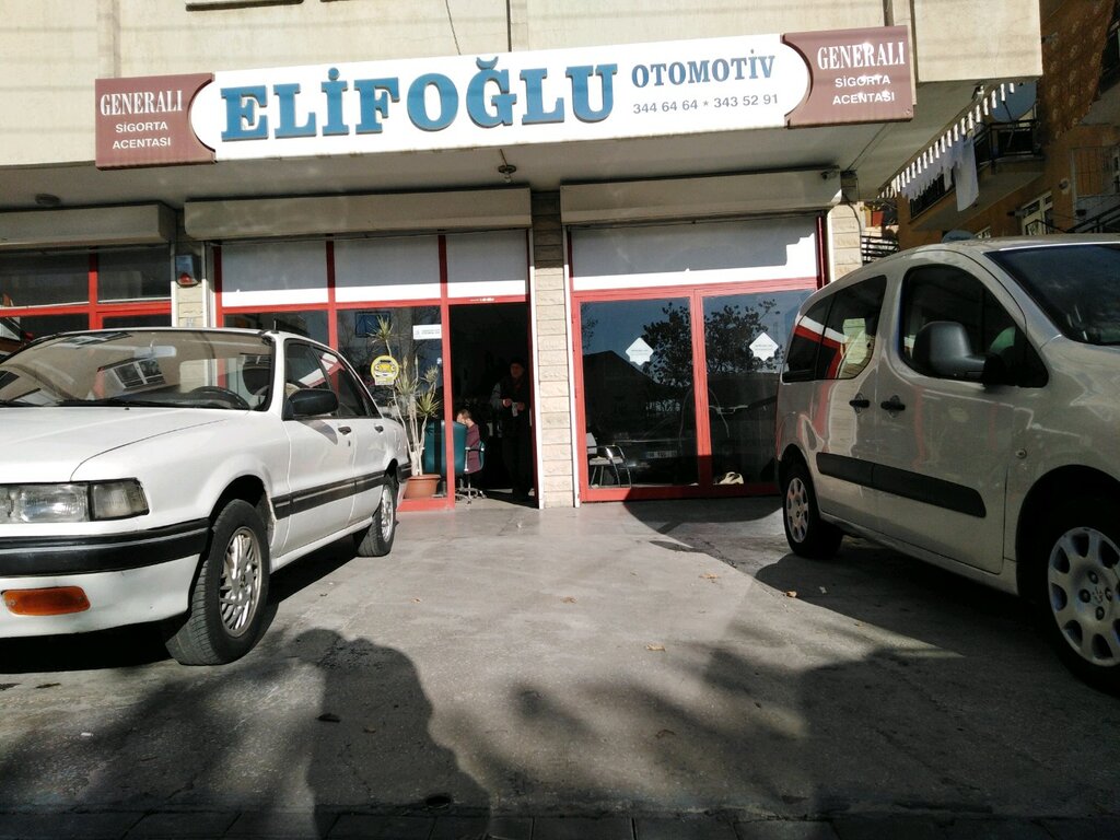 Otomobil satış galerileri Elifoğlu Otomotiv, Ankara, foto