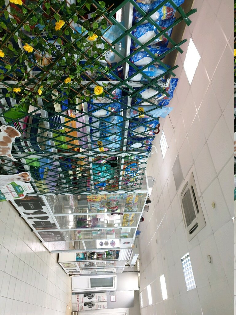 Cam balkon hizmetleri Uyut profi, Perm, foto