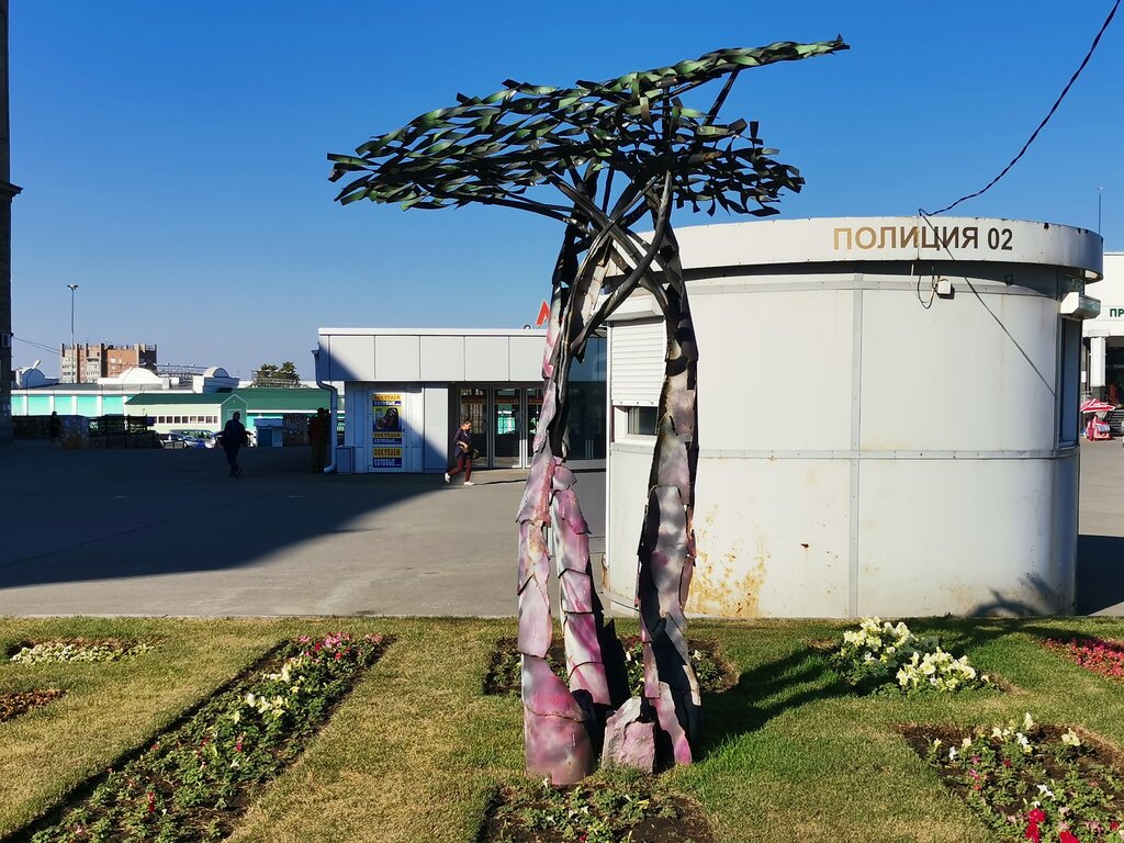 Dekorasyon ve süsleme, onur panosu Деревья, Novosibirsk, foto