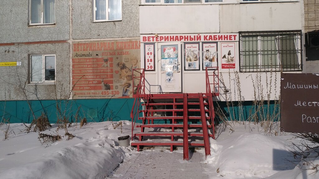 Veteriner klinikleri Bely klyk, Omsk, foto