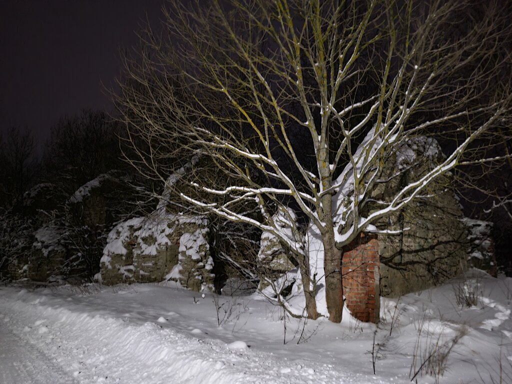 Turistik yerler Хозяйственные постройки усадьбы Боровская, Saint‑Petersburg ve Leningradskaya oblastı, foto