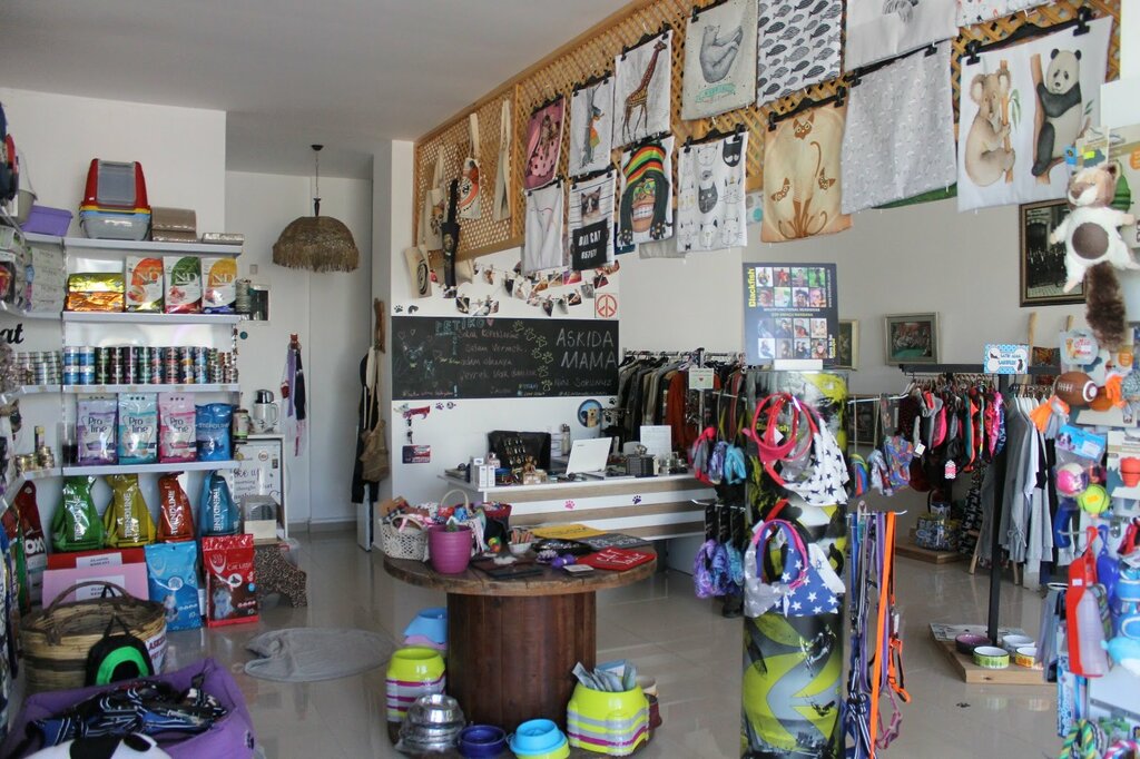 Petshop Petiko Shop & Cafe, Bodrum, foto