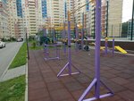 Silniy Dvor (Moscow Region, Domodedovo, Lubimoye Domodedovo Residential Complex), spor alanı  Domodedovo'dan