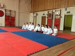 Айкидо (Marshala Biryuzova Street No:7), kurs  Moskova'dan