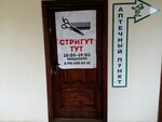 Стригут тут (2-ya ulitsa Novosyolovka No:5Б), kuaförler  Kursk'tan