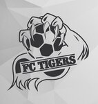 Tigers (prospekt Chumbarova-Luchinskogo No:1), spor kulüpleri  Arhangelsk'ten