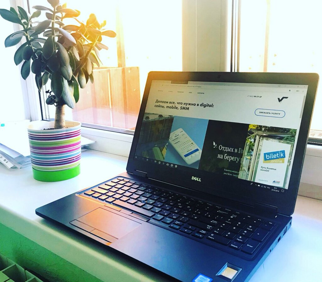 Web tasarım hizmetleri VT Digital, Barnaul, foto