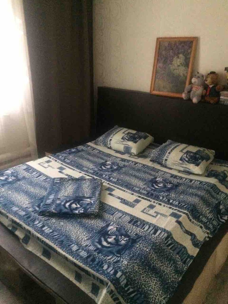 Evsizler için sığınma evleri НочьЛёг, Voronejskaya oblastı, foto