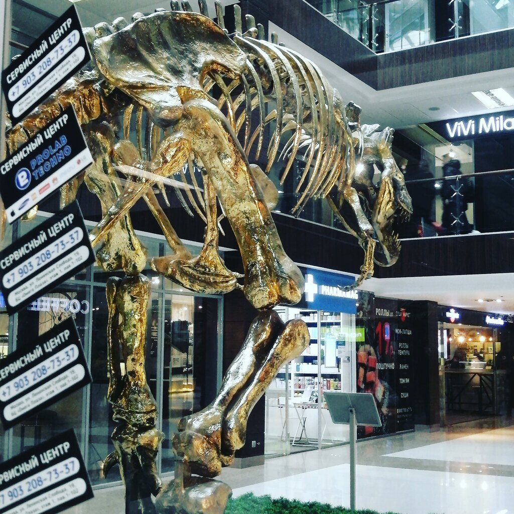 Telefon tamir servisi ProLab Techno, Moskova, foto