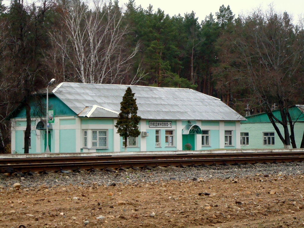 Tren istasyonu Людиново-1, Liudinovo, foto