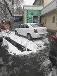 Zoomarket (No:15B, Mirzo Ulugbek District, Oloy dahasi), petshop  Taşkent'ten