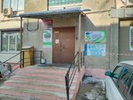 Pixel (Kultukskaya ulitsa No:13), hosting firmaları  Irkutsk'tan